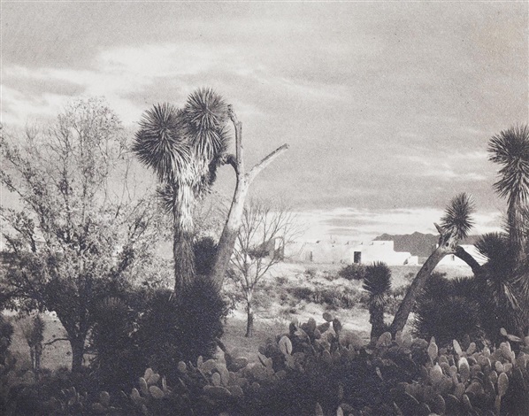 The Mexican Portfolio by Paul Strand on artnet