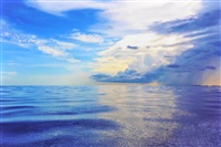 Deborah Shelton-Tynes | Artnet