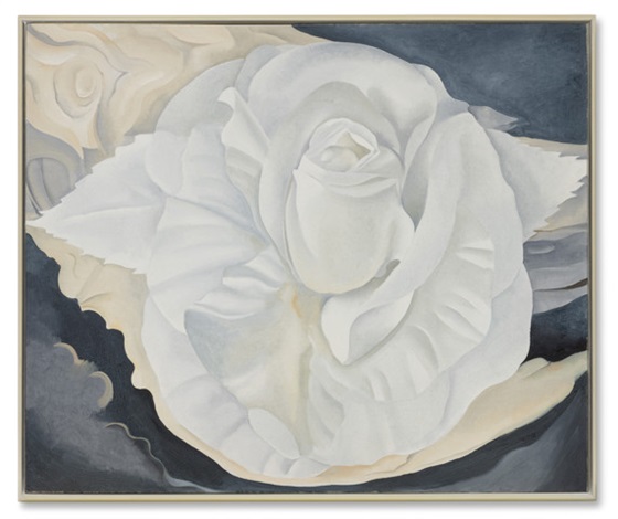 White Calico Rose by Georgia O'Keeffe on artnet