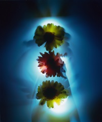 Floris Neusüss | Artnet