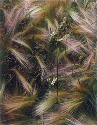 Eliot Porter | Artnet