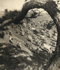 Therese Stevens | Artnet