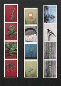 Jan Wenzel | Artnet
