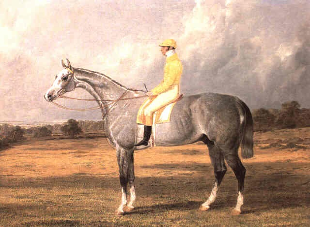 LORD GEORGE BENTINCKS COLT, GREY MOMUS, WITH J. DAY UP AT NEW MARKET by ...