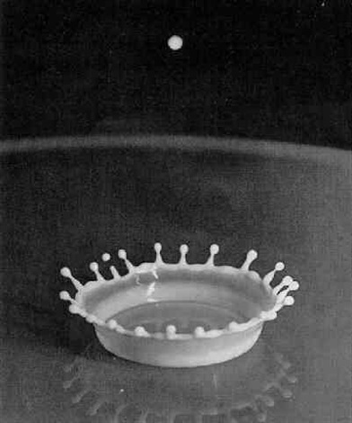 MOMENTS OF VISION, The Stroboscopic Revolution in Photography by Harold ...