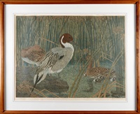 Janet Turner | Artnet