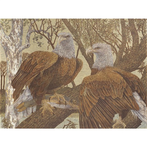 Raptor Rapture by Janet Turner on artnet