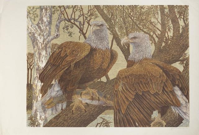 Raptor Rapture by Janet Turner on artnet