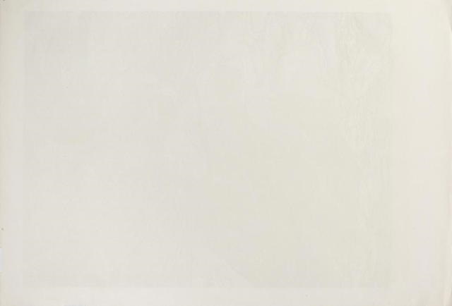 Raptor Rapture by Janet Turner on artnet