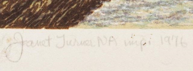 Raptor Rapture by Janet Turner on artnet