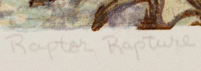 Raptor Rapture by Janet Turner on artnet