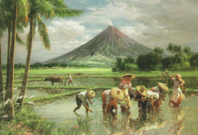 Planting rice with the Mayon volcano in the distance by Fernando ...