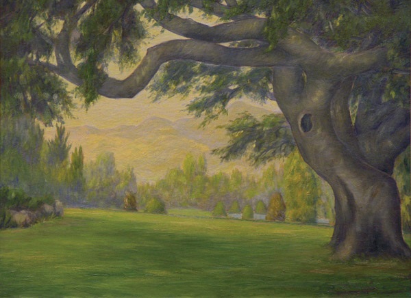 Large tree, Ward Estate-Montecito by John August Dominique on artnet
