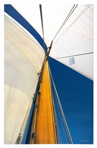 Onne van der Wal | Artnet