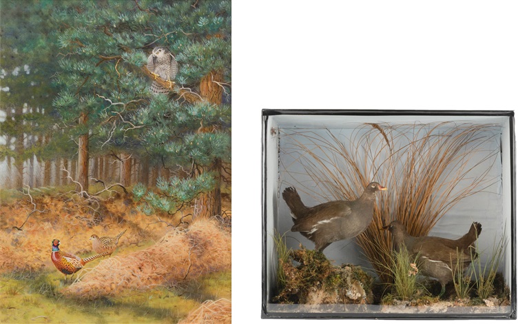 Forest scene with pheasants by Richard Robjent on artnet