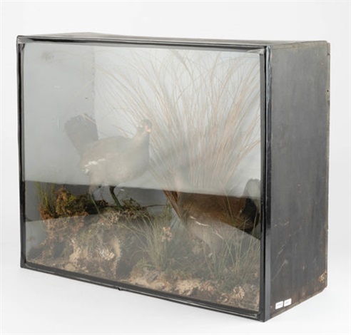 Forest scene with pheasants by Richard Robjent on artnet