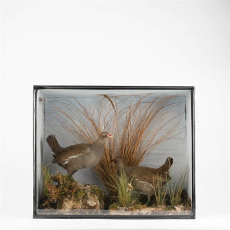 Forest scene with pheasants by Richard Robjent on artnet