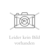 Friedrich Wilhelm Moritz | Artnet