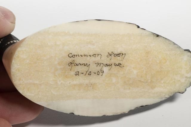 4 INUIT BIRD SCULPTURES BY LARRY, FRED AND TED MAYAC by Larry, Fred and ...