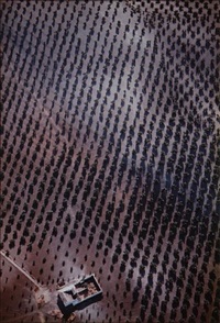 Georg Gerster | Artnet