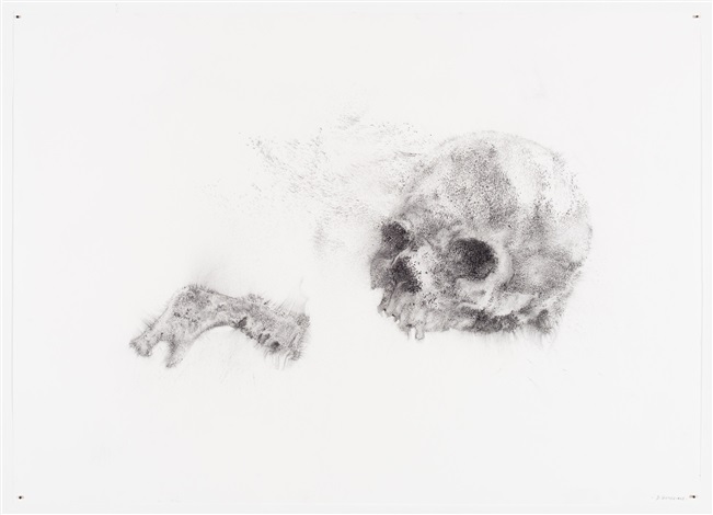 Jane Doe 2 Pounds of Bone 907g of Burnt Currency II by Diane Victor on ...