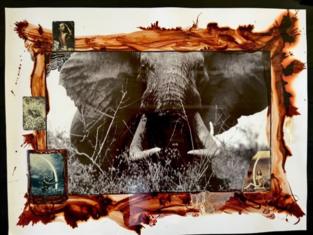Elephant with Tusks by Peter Beard on artnet