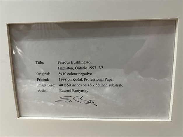 Ferrous Bushling 6, Hamilton, Ontario by Edward Burtynsky on artnet