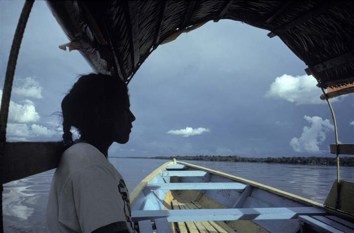 Columbia, Amazon by Alex Webb on artnet