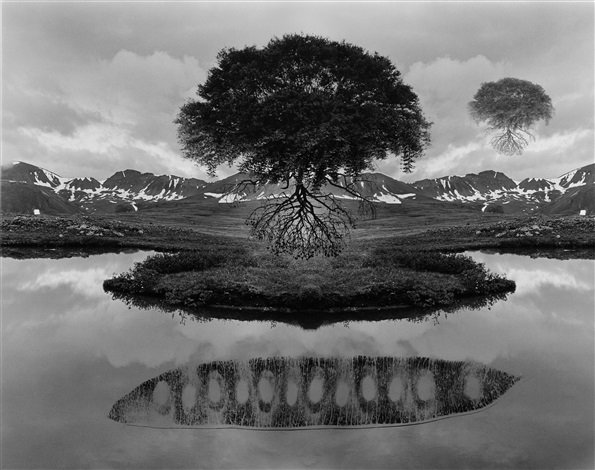 Floating Tree by Jerry Uelsmann on artnet