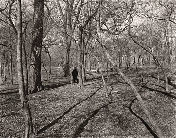 Eleanor, Chicago by Harry Callahan on artnet