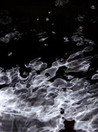 Simone Douglas | Artnet