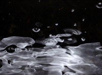 Simone Douglas | Artnet