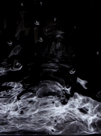 Simone Douglas | Artnet