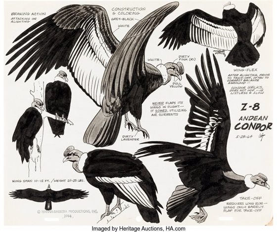 Jonny Quest Andean Condor Model Sheet by Warren Tufts Original Art ...