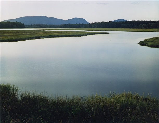Tidal marsh, Mount Desert Island, Maine, August 4, 1965 by Eliot Porter ...