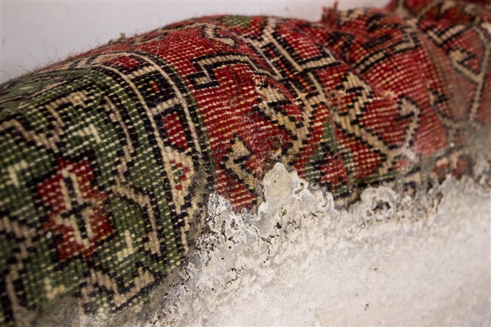 Indigenization V by Ramazan Can on artnet