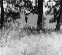 Ralph Eugene Meatyard | Artnet