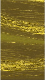 Michal Rovner | Artnet