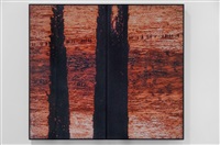 Michal Rovner | Artnet