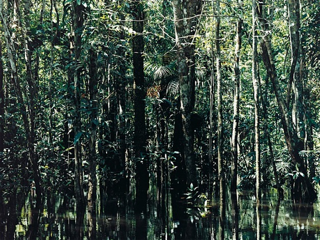 Cano Tonino-01, Venezuela by Axel Hütte on artnet