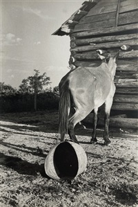 Walker Evans | Artnet