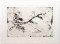 Susan Collett | Artnet