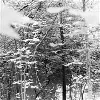 Harry Kalish | Artnet