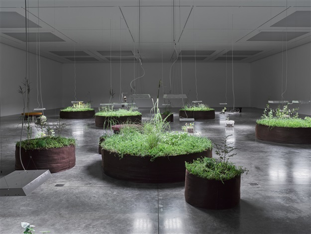 Untitled by Danh Vo on artnet