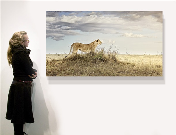 Lioness in Repose, Maasai Mara, Kenya, 2019 by David Burdeny on artnet