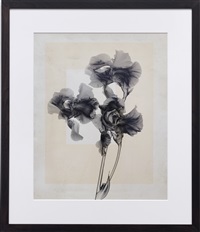 Thomas Ruff | Artnet