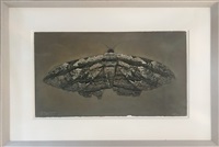 Kate Breakey | Artnet | Page 2