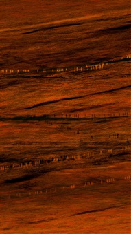 Michal Rovner | Artnet