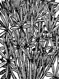 Paul Morrison | Artnet