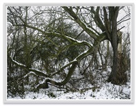 Thomas Struth | Artnet